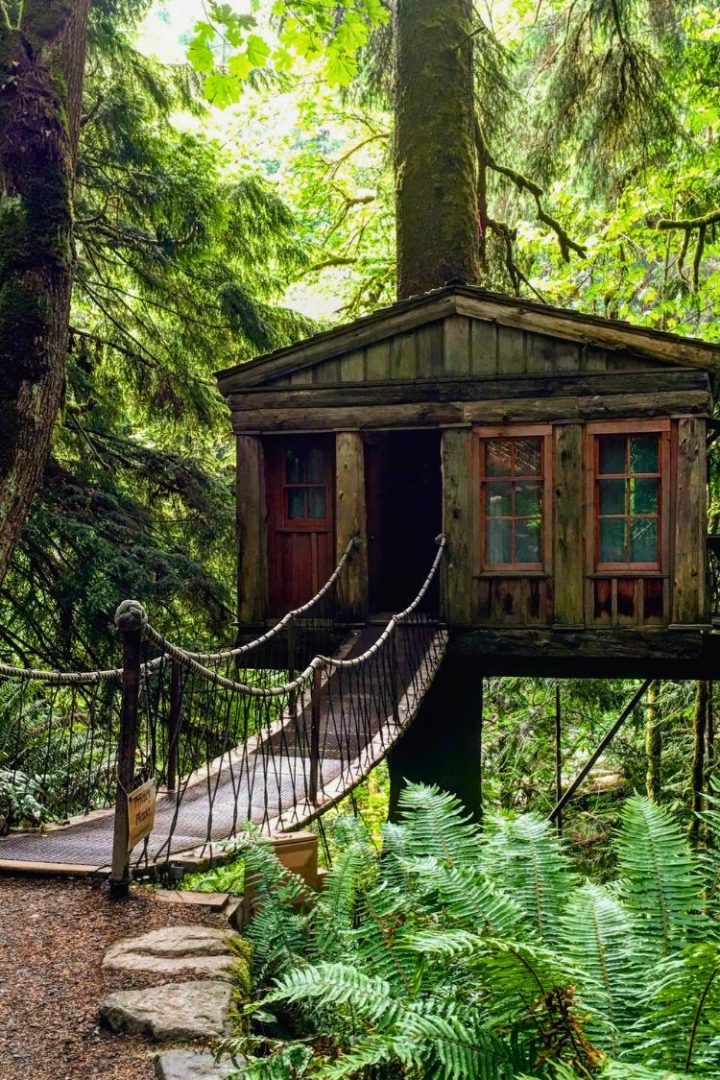 15+ Boho Treehouses That Feel Like a Real-Life Fairytale - H.M.G