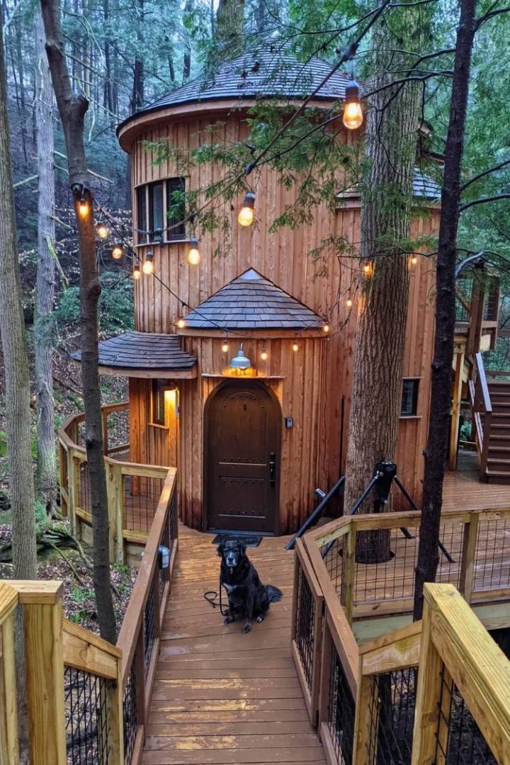 15+ Boho Treehouses That Feel Like a Real-Life Fairytale - H.M.G