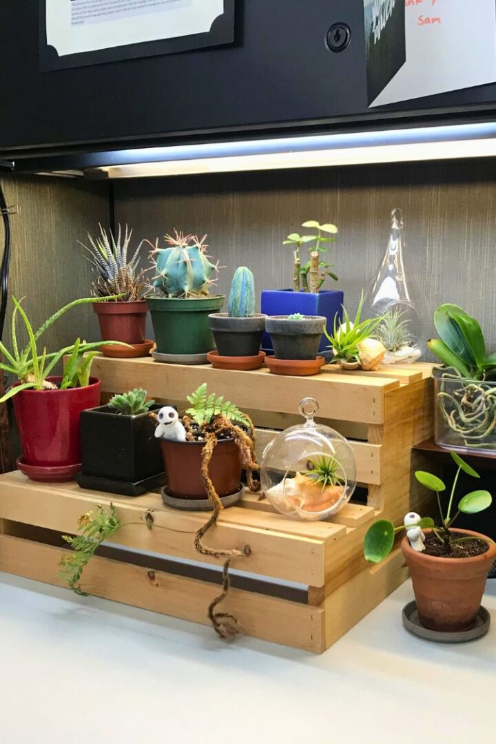 24 Styling Ideas for an Easy Boho Chic Cubicle Makeovers - H.M.G