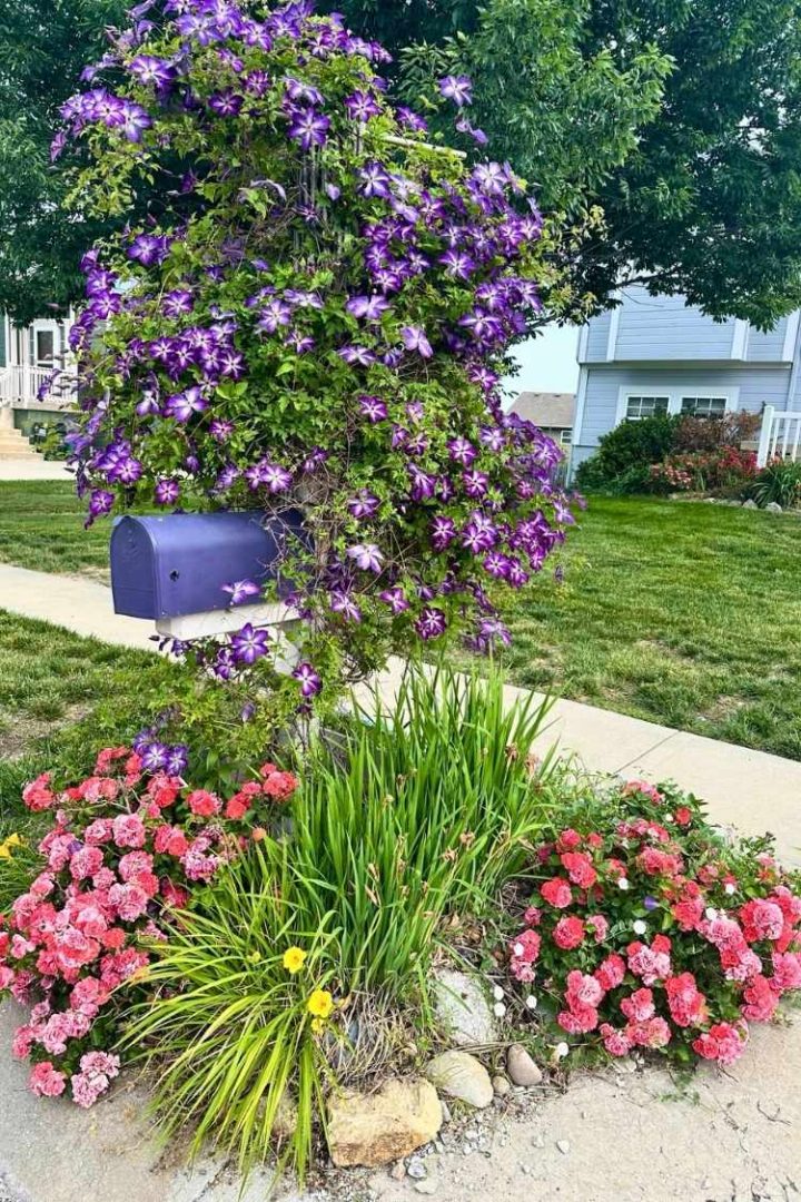 15 Charming Boho Mailbox Makeover Ideas to Enhance Your Curb Appeal - H.M.G