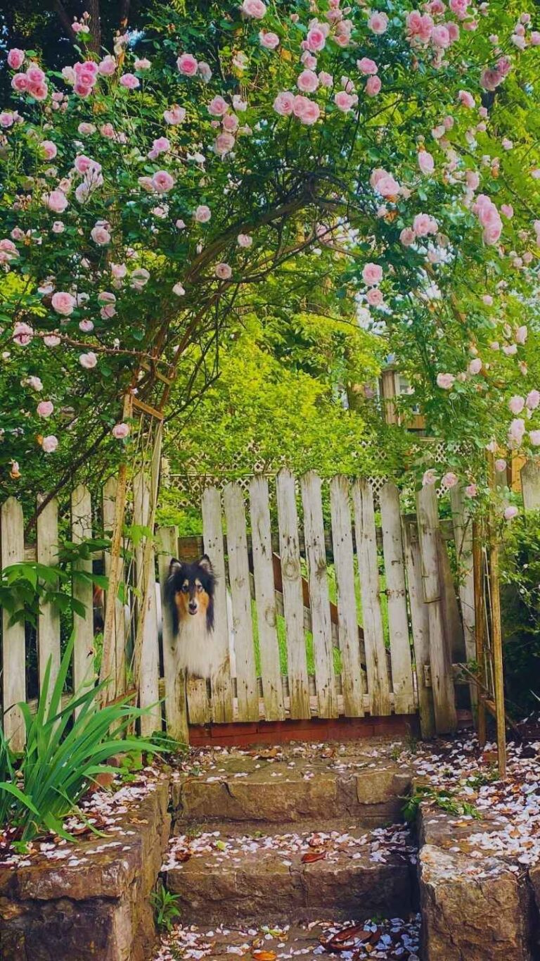 I Loved How These Secret Garden Ideas Turned Quiet Corners Into Magical ...