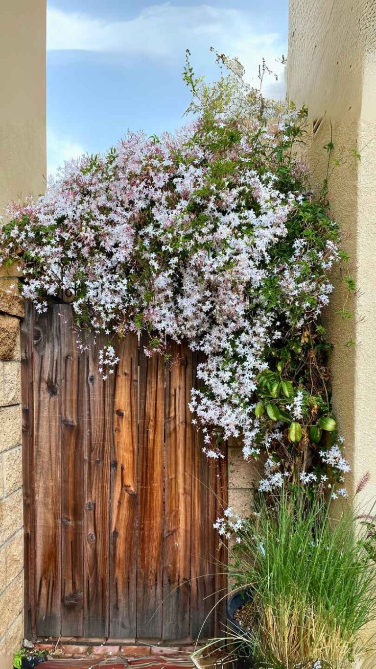 I Loved How These Secret Garden Ideas Turned Quiet Corners Into Magical ...