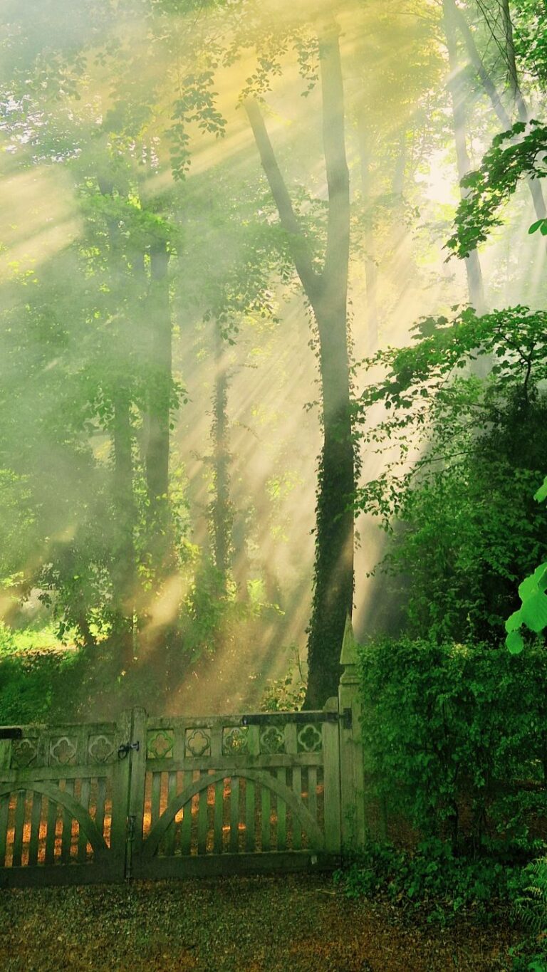 I Loved How These Secret Garden Ideas Turned Quiet Corners Into Magical ...