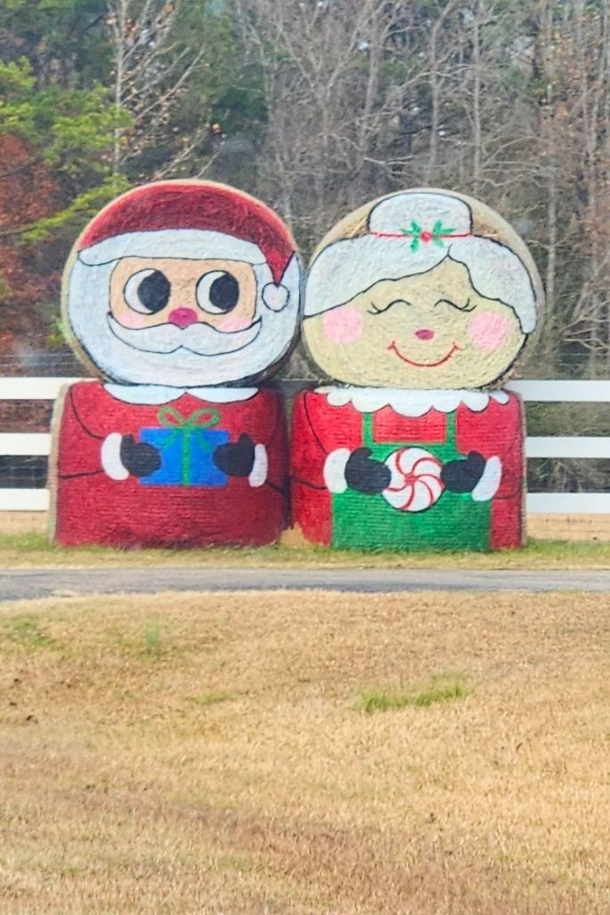 20 Simple Christmas Front Yard Decor Ideas - H.M.G