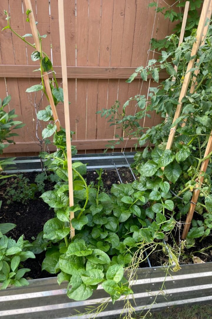 How to Create Stunning Garden Edging on the Cheap! Yes, It’s Totally ...