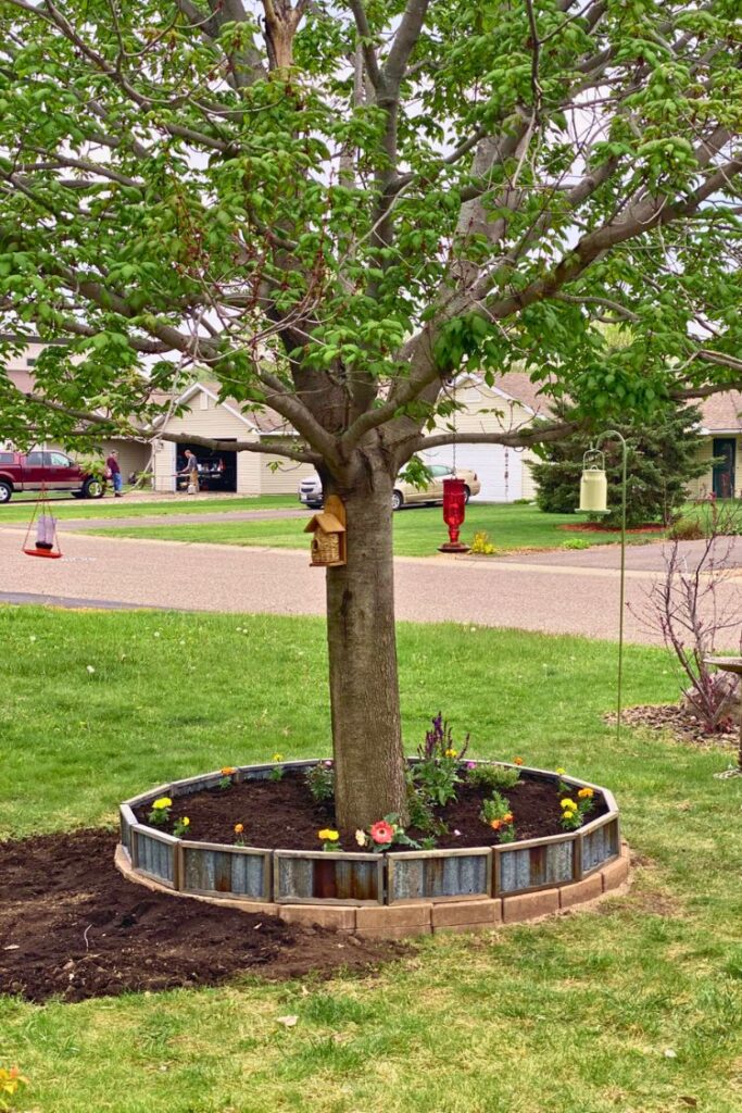 How to Create Stunning Garden Edging on the Cheap! Yes, It’s Totally ...