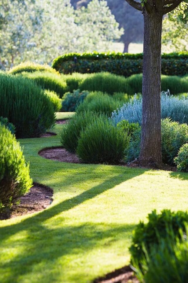 How to Create Stunning Garden Edging on the Cheap! Yes, It’s Totally ...