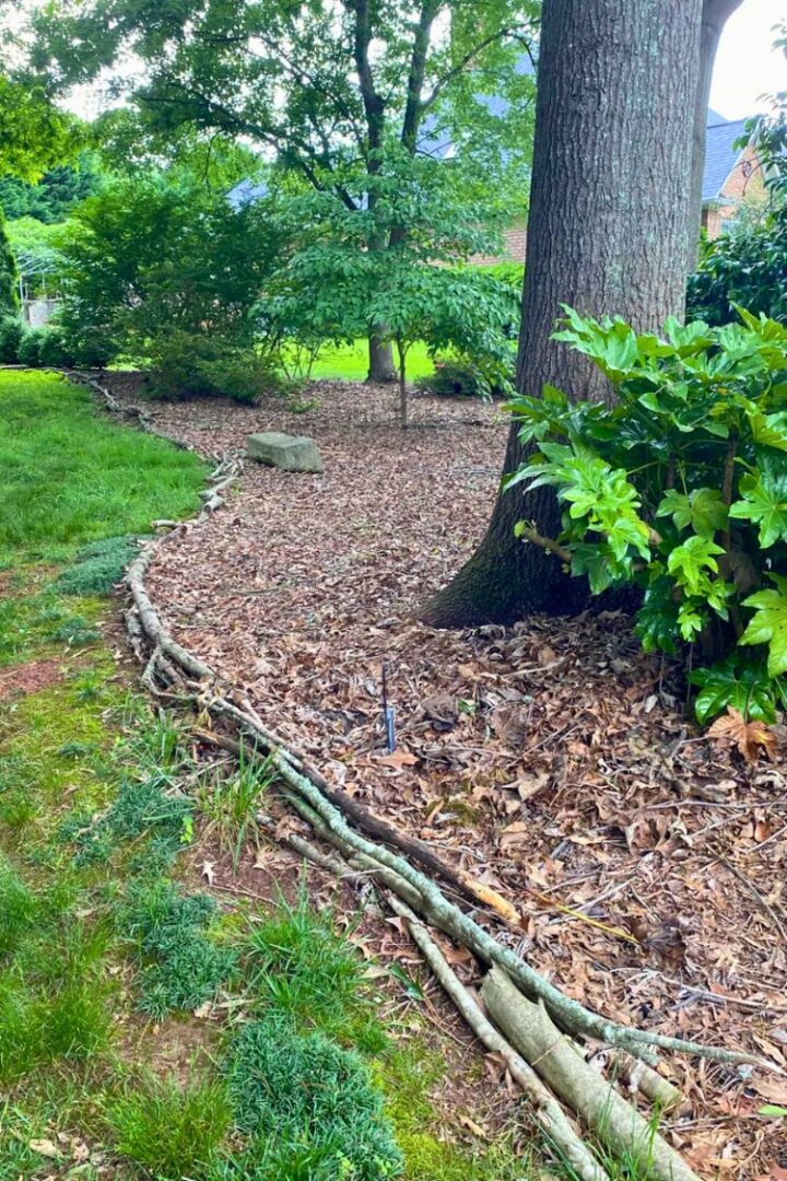 How to Create Stunning Garden Edging on the Cheap! Yes, It’s Totally ...