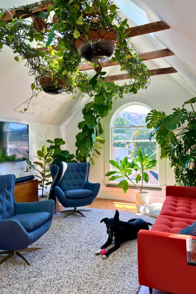 Dreaming of a Cozy TV Room? These Ideas Totally Nailed the Vibe - H.M.G