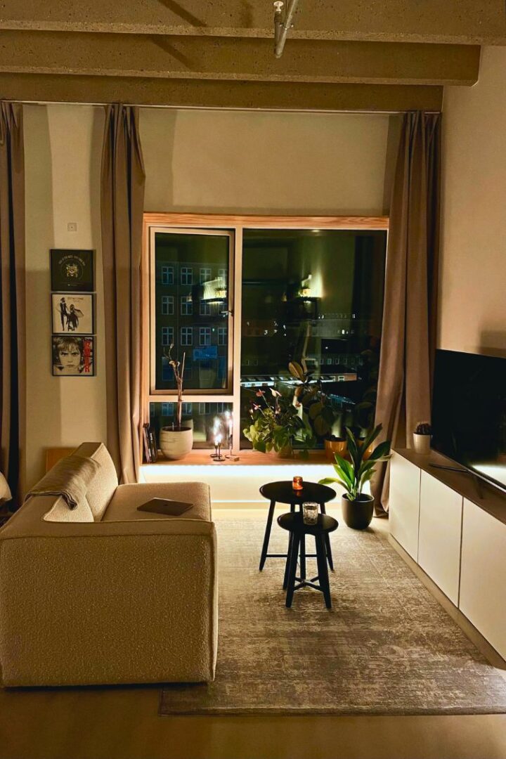 Dreaming of a Cozy TV Room? These Ideas Totally Nailed the Vibe - H.M.G
