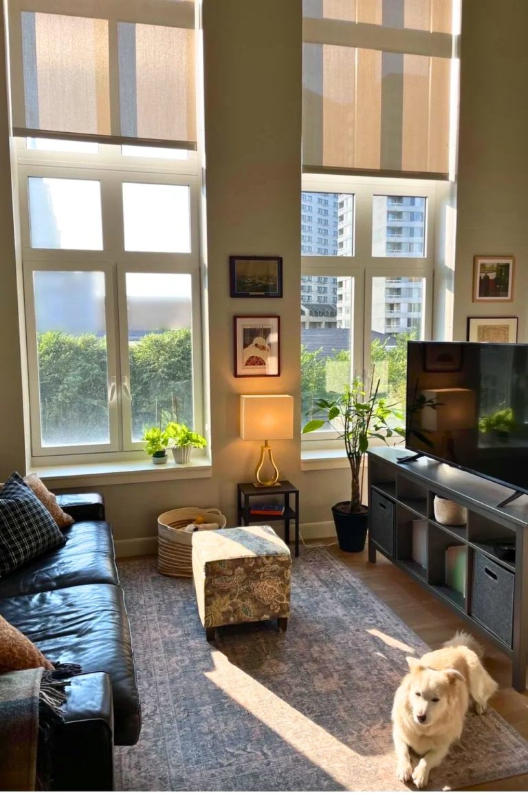 Cozy Small Studio Apartment Ideas That Prove Tiny Spaces Don’t Have To ...